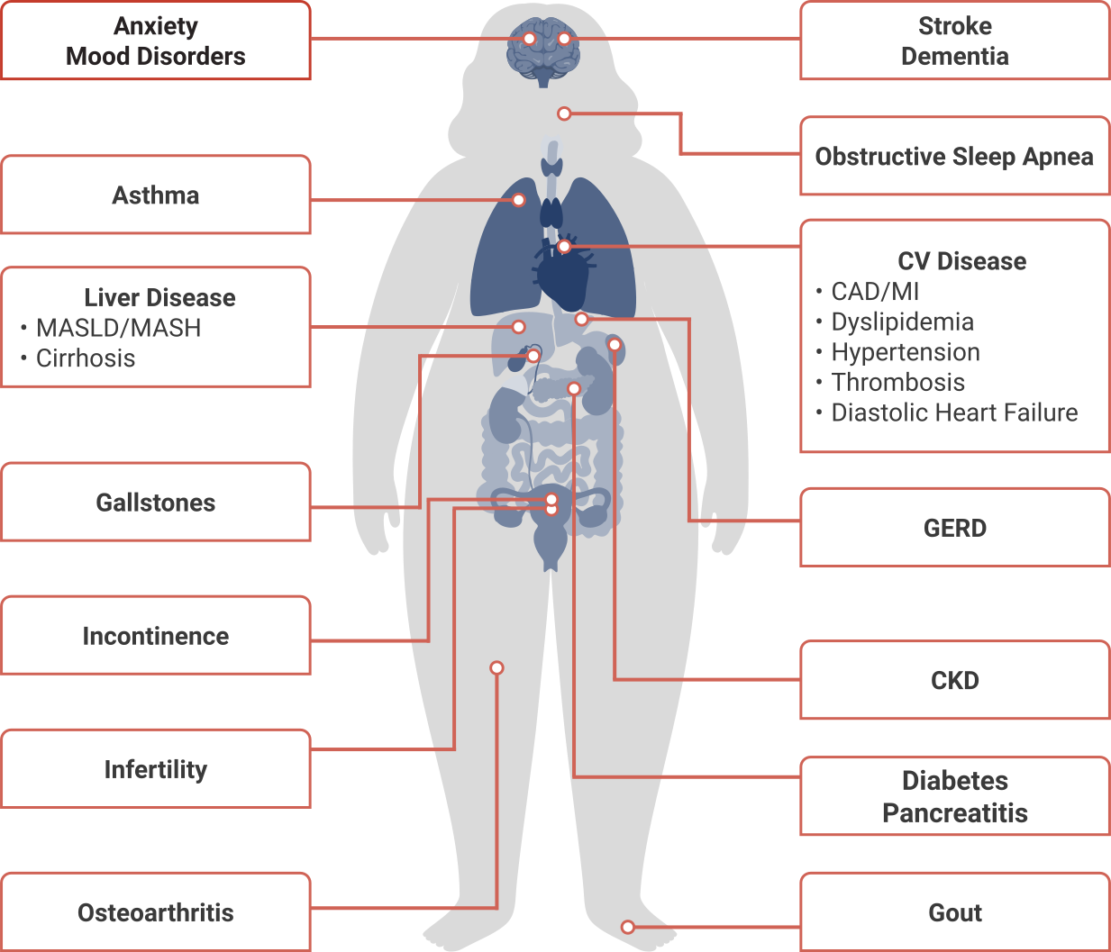 Health Consequences of Obesity & Excess Weight | Lilly India